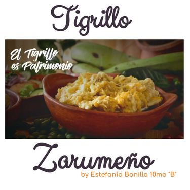 Book Creator | Tigrillo Zarumeño