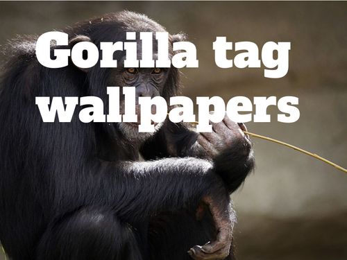 Book Creator | gtag wallpapers