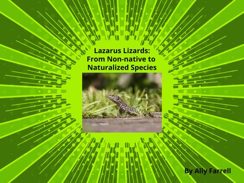 Book Creator | Lazarus Lizards: From Non-native to Naturalized Species
