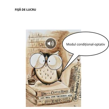 Book Creator | Modul conditional-optativ