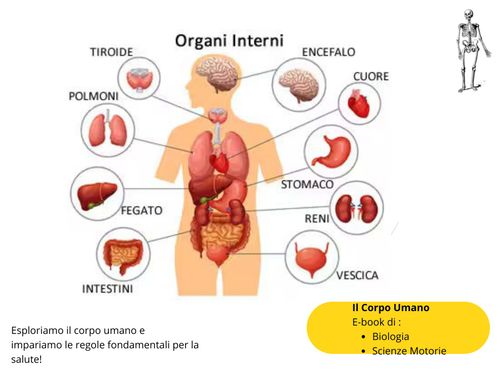 Book Creator | Getting Started with Book Creator