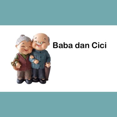 Book Creator | Baba Dan Cici