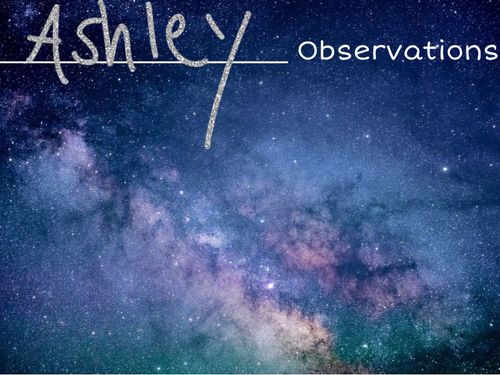 Book Creator | Unit 8 Project