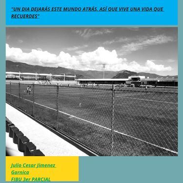 Book Creator | RANDOM