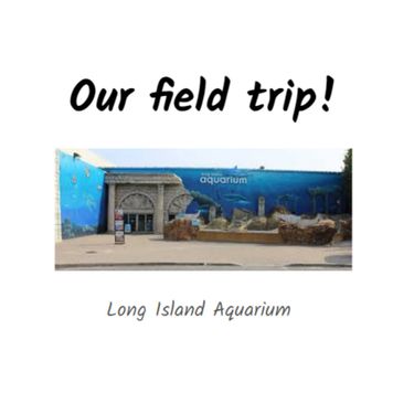 Book Creator | Aquarium Field Trip