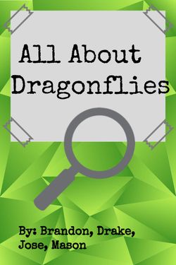 Book Creator | Dragonflies