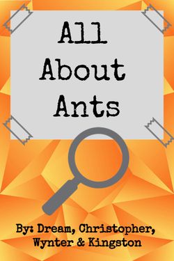 Book Creator | Ants