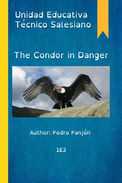 Book Creator | The condors in danger