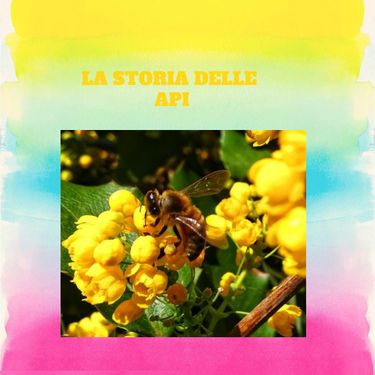 Book Creator | IL MONDO DELLE API