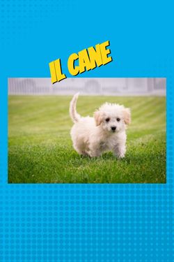 Book Creator | Il cane
