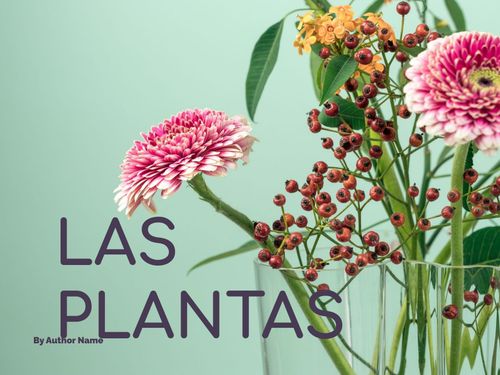 Book Creator | LAS PLANTAS