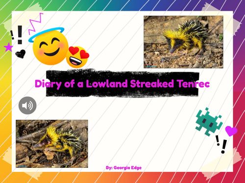 Book Creator | Diary of a Lowland Streaked Tenrec