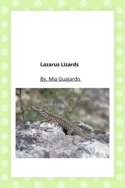 Book Creator | Lazarus Lizards