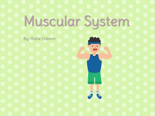 Book Creator | Muscular System
