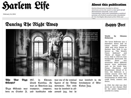 Book Creator | Harlem Life