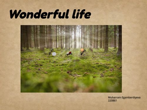 Book Creator | Wonderful life