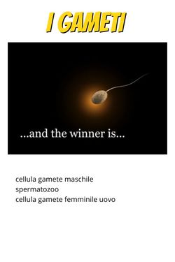 Book Creator | gameti