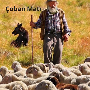 Book Creator | Çoban Matı