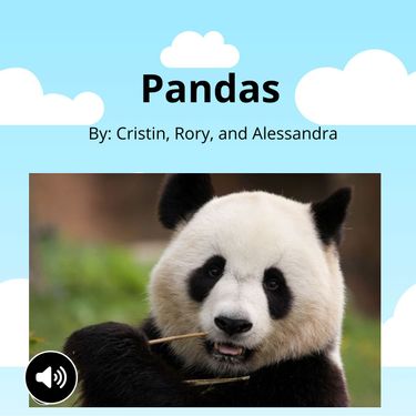 Book Creator | Pandas