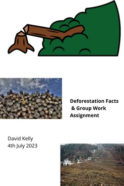 Book Creator | Deforestation