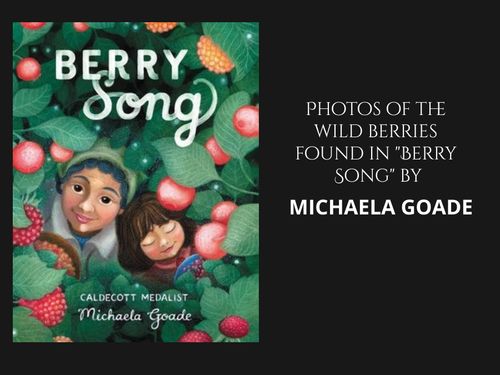 Book Creator | About Berry Song
