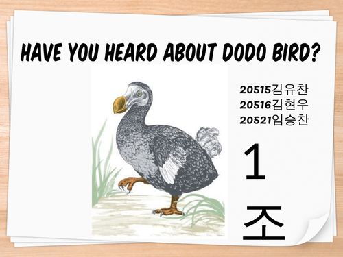 Book Creator | Dodo birds