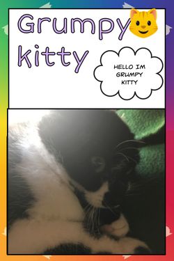 Book Creator | Grumpy Kitty Book