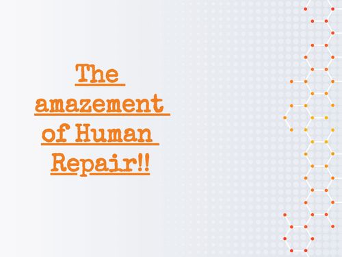 Book Creator | The amazement of human repair.
