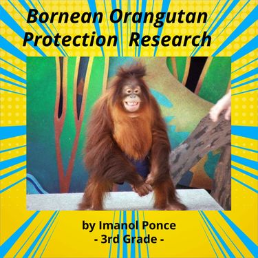 Book Creator | Borean Orangutan Protection Research