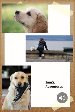 Book Creator | Sam's Adventures