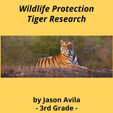 Book Creator | Wildlife Protection Tiger Research