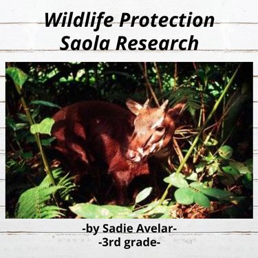 Book Creator | Wildlife Protection Saola Research