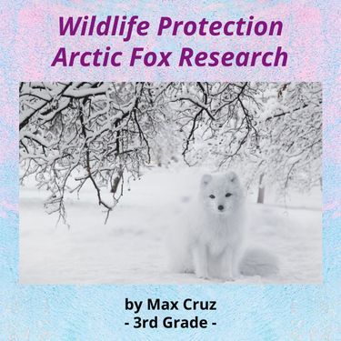 Book Creator | Wildlife Protection Arctic Fox Research