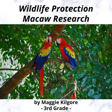Book Creator | Wildlife Protection Macaw Research