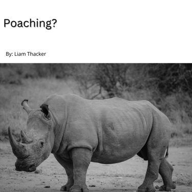 Book Creator | Poaching