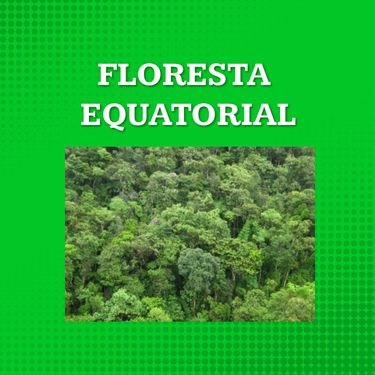 Book Creator | Floresta Equatorial
