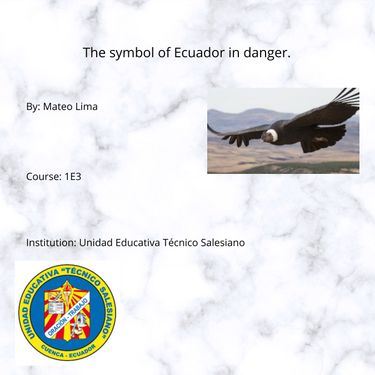 Book Creator | Andean Condor