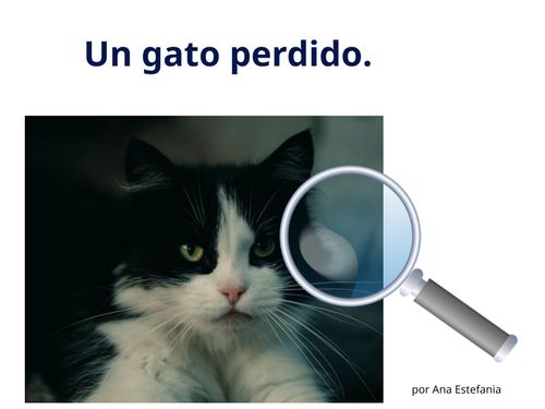 Book Creator | GATO PERDIDO