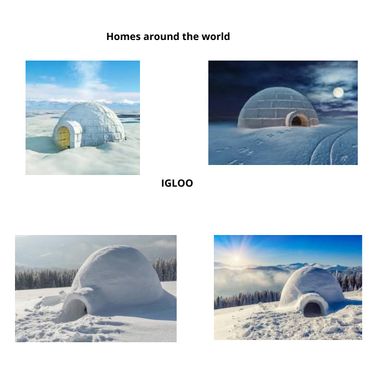 Book Creator | Igloos