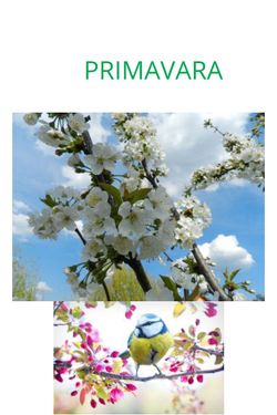 Book Creator | PRIMĂVARA
