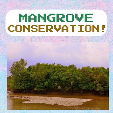 Book Creator | Mangrove