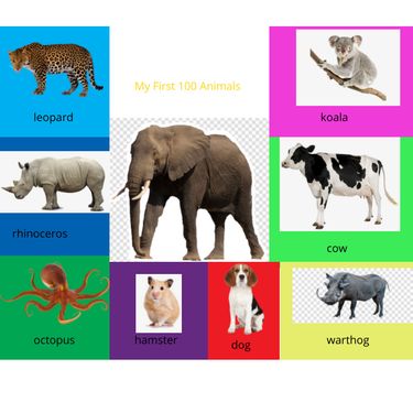 Book Creator | My First 100 Animals