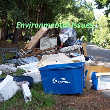 Book Creator | Environmental Issues