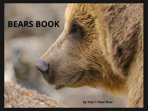 Book Creator | Bears Book