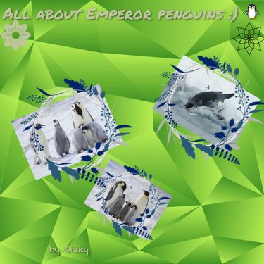 Book Creator | Emperor Penguins