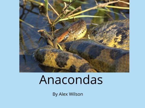 Book Creator | Anacondas
