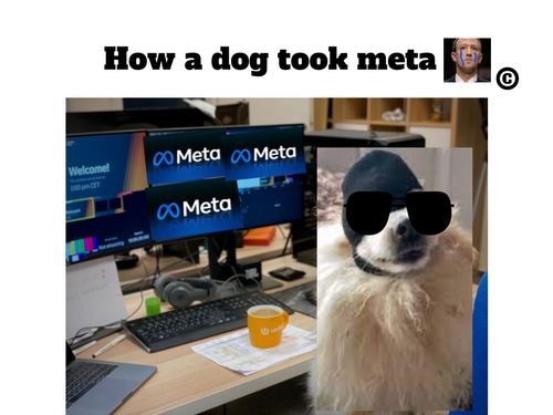 Book Creator | how a dog took meta