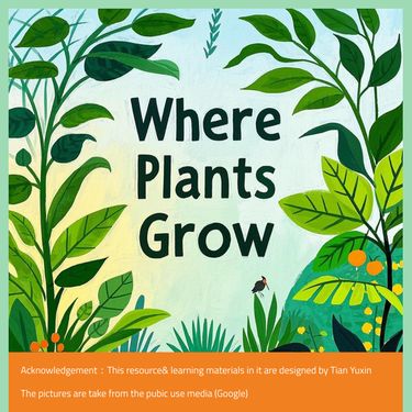 Book Creator | where plants grow