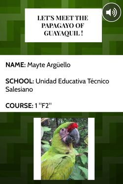 Book Creator | Papagayo of Guayaquil