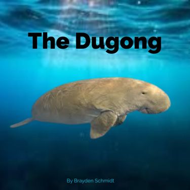Book Creator | ඞ The Dugong ඞ